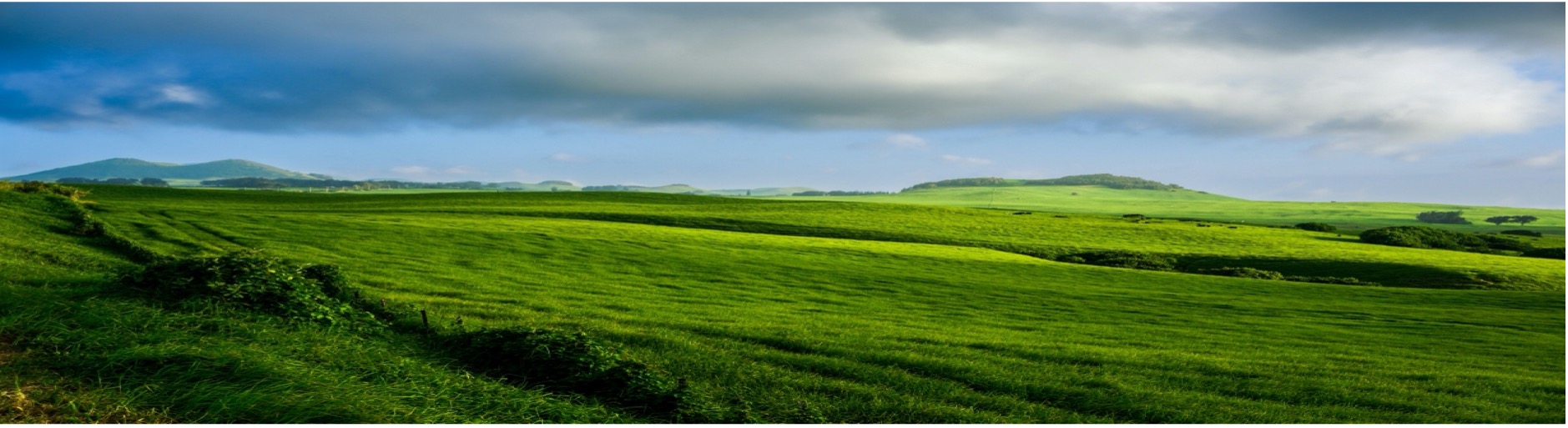 Incorporating ESG Under Limitations: Portfolio Engagement with Minority ...